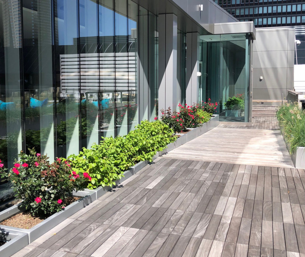 New Boston Landscapes | Mikyoung Kim Design - Our work brings health ...